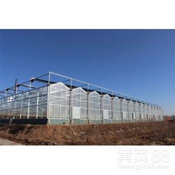 Cina Serra a scheletro di vetro multi-span con lunghezza personalizzabile fino a 50 m in vendita