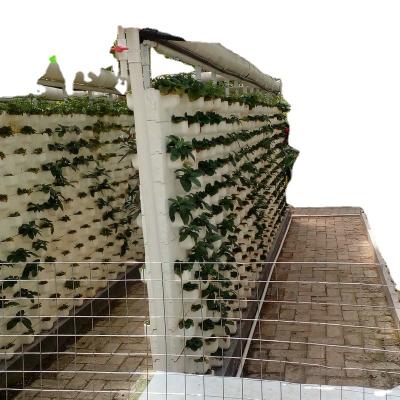 Cina Coltivate le vostre fragole a casa con questo sistema di coltivazione idroponica facile da installare in vendita