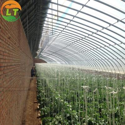 Cina Serra solare agricola ecologica con banchi serra in vendita