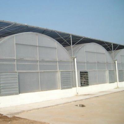 Cina Sistema idroponico avanzato per la coltivazione di ortaggi a foglia in serre agricole in vendita