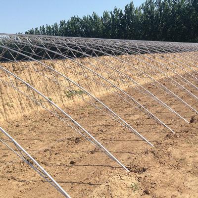 Cina Serre solari per la coltivazione di fiori e ortaggi progettate in modo efficiente in vendita