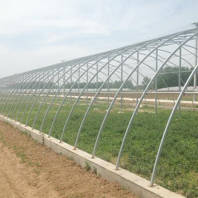 Cina Serra di vetro/film di plastica per l'agricoltura e il bestiame altezza indicata in vendita
