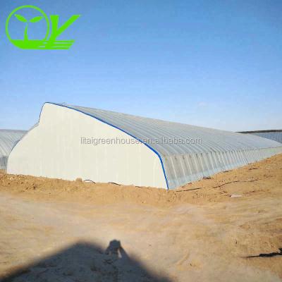 Cina Serra di pellicola di plastica agricola conveniente per ortaggi frutti fiori in vendita