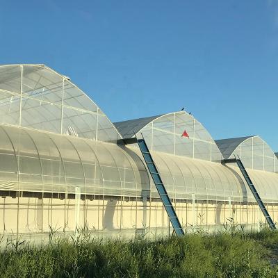 Cina Serre agricole multi-span Sistema di coltivazione idroponica avanzata per la sezione 4m/8m in vendita