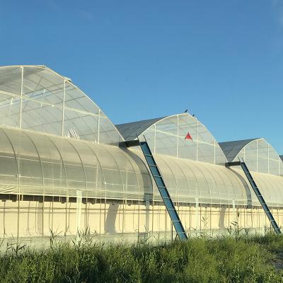 Cina Sistema di controllo automatico Serra a pellicola di acciaio galvanizzato per agricoltura in vendita