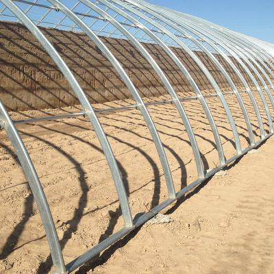 Cina Aree fredde Agricoltura Unico strato di luce solare Serra con temperatura adeguata in vendita