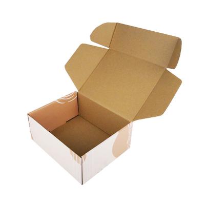 China Custom-Logo gedruckt Wellpappenbox Geschenkverpackung Klappbox Flugzeugbox zu verkaufen