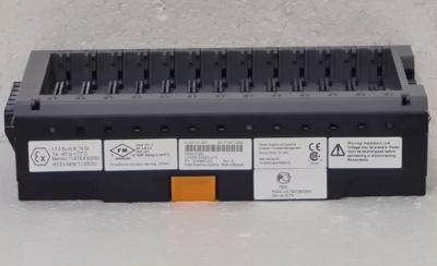 Cina KL4201X1-BA1 EMERSON CAMBINE BASE PLASTE in vendita