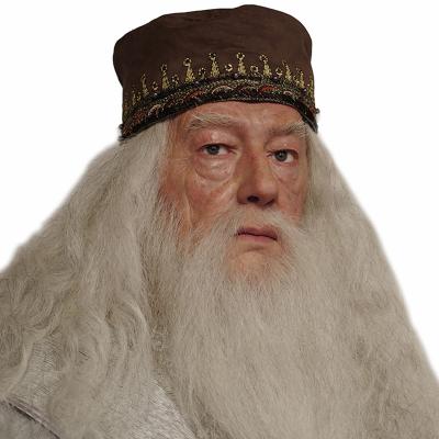 China Figura de cera escultura humana da celebridade do 1:1 da cera do silicone feito sob encomenda de Dumbledore à venda
