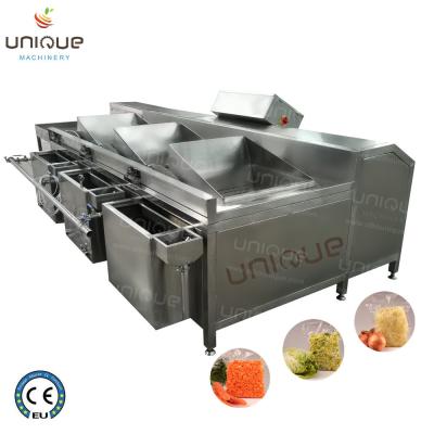 China Sandblasting oppervlak Fruit and Vegetable Batch Washer voor Style Salad Washing Machine Te koop
