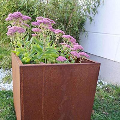 Cina Vaso di fiore d'acciaio rettangolare del supporto del metallo della piantatrice di Corten in vendita