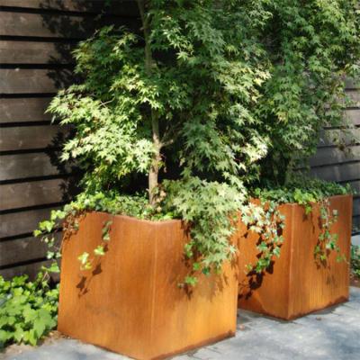 Cina Vaso della pianta di Rusty Metal Flower Planters Fabrication dell'acciaio di Corten in vendita