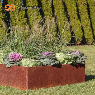 Cina La piantatrice d'acciaio di Corten del giardino inscatola di forma rettangolare in vendita