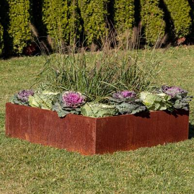Cina Letto del giardino alzato metallo all'aperto del balcone del patio del ODM dell'OEM per inossidabile di verdure in vendita