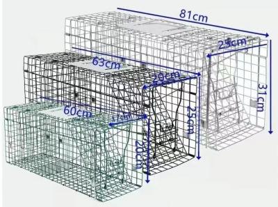 Cina il PVC di 2mm Dia Live Cage Traps Galvanized Or ha ricoperto in vendita