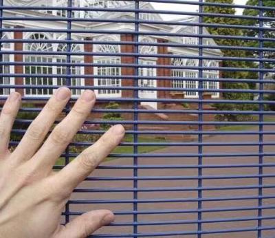 Cina Anti 358 barriera di sicurezza saldata tagliente Prison Mesh Fencing 60x60mm personalizzabili in vendita