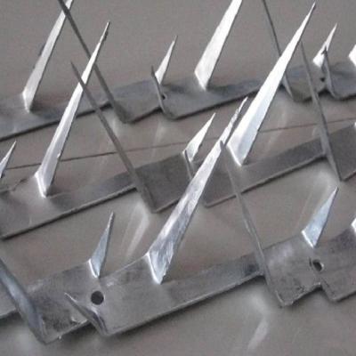 Cina Singola lunghezza galvanizzata immersa calda di Security Spikes 1.25m del recinto del rasoio in vendita