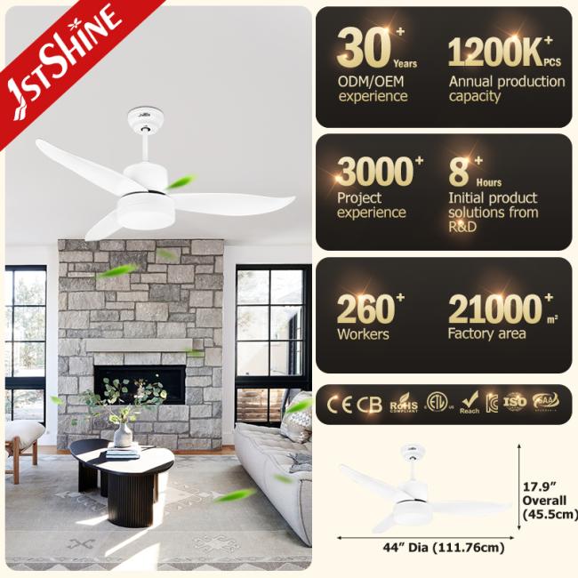 ceiling fan