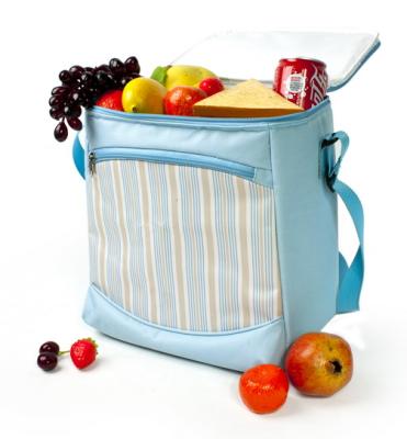 Cina 18 Liter Cooler Bag For Drink and Food-HAC13026 in vendita