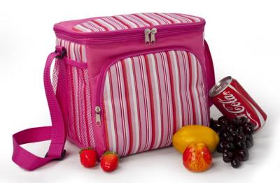 Cina picnic cooler bags for food and fruit-HAC13046 in vendita