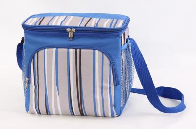 Cina outdoor cooler bag for party-HAC13107 in vendita