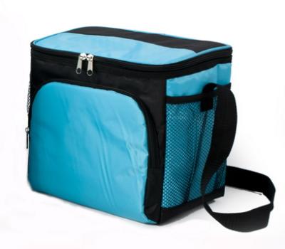 Cina 420D Polyester cooler bag for men-HAC13047 in vendita