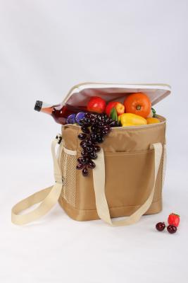 Cina Cheap cooler bag for fruit best cooler bag-HAC13110 in vendita