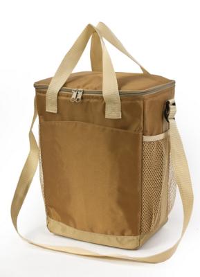 Cina Cooler bag for BBQ parties-HAC13035 in vendita