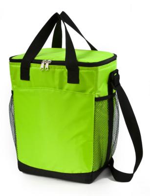 Cina Eco Friendly Cooler Bag Green Cooler Bag-HAC13036 in vendita
