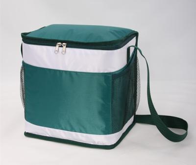 Cina PEVA cooler bag green fabric color cooler bag-HAC13113 in vendita