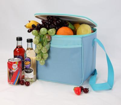 Cina Sky Bule Cooler Bag For BBQ Party-HAC13117 in vendita