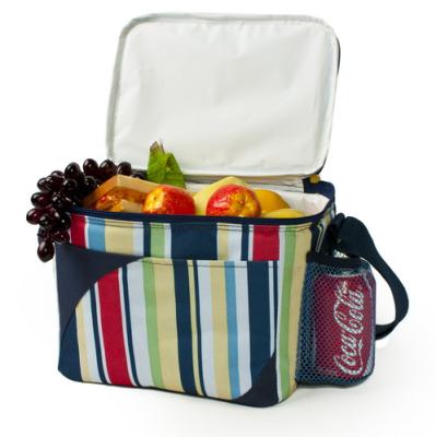 Cina Top quality cooler bags for men-HAC13068 in vendita