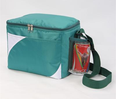 Cina 420D polyester cooler bags for outdoor adventures-HAC13119 in vendita