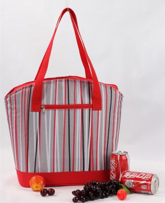 Cina Eco Outdoor Cooler Tote Bag- HAC13138 in vendita