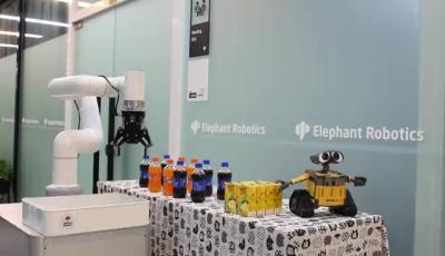 Chine Poids léger de Cobot Chine Myrobot PRO-600 Portée 600mm de Palyload 2kg avec le programme facile de pince de robot en tant que bras robotique à vendre