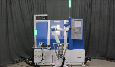 Cina Collaborative Robot with Hand-Guided Teaching HC10XP For Immediate Shipment With CNC Robot Arm in vendita