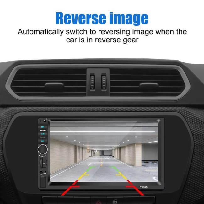 Reversing camera with guide lines display