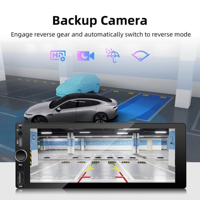 Reversing camera display and parking assistance