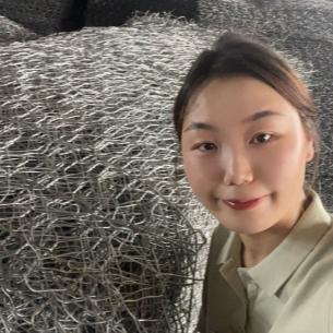 China Galvanized Gabion Box Wire Mesh 2m Length Anti Rust Woven for sale
