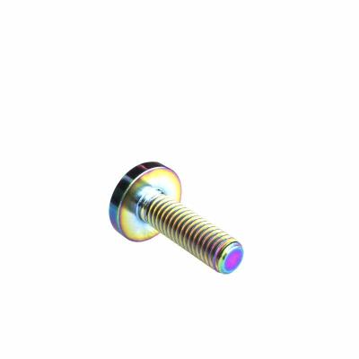 Chine Longueur personnalisée M8x30 GR5 Titane Rotor Boulons en acier inoxydable Boulons à tête hexagonale à vendre