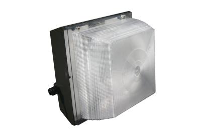 Cina 40 copertura resistente UV del PC della plafoniera IP43 di induzione del parcheggio del quadrato di W in vendita