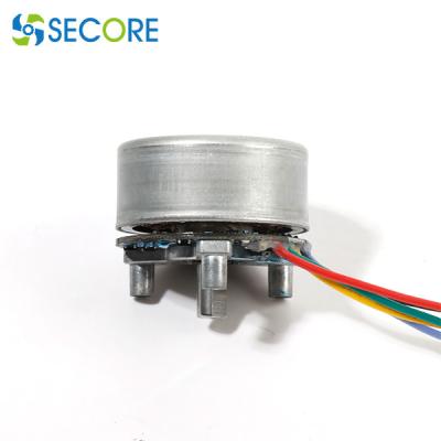 Κίνα 6500rpm αβούρτσιστη μηχανή Massager με τον ελεγκτή 12V bLDC για το μασάζ σώματος προς πώληση