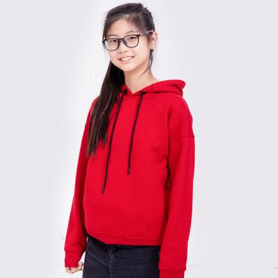 Chine 10T sweat-shirts en coton avec capuche, pulls confortables et respirants à vendre