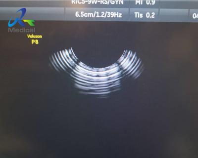 Cina Cristallo della cupola del monitor di riparazione della sonda di ultrasuono di GE RIC5-9W-RS in vendita