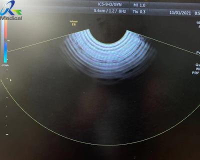 中国 GE Voluson E8の超音波の調査IC5-9-D Endovaginalのトランスデューサー修理 販売のため