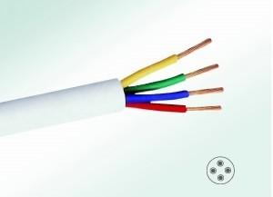 中国 すべては 450/750V ポリ塩化ビニールによって絶縁される火によって評価される電気ケーブルを BV 1*1.5mm2 着色します 販売のため