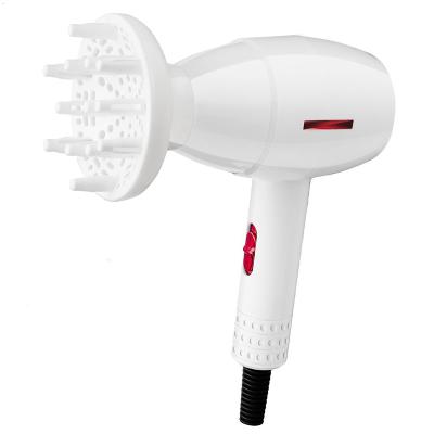 中国 軸流れの二重電圧旅行家の使用のための電気ヘアー ドライヤー 販売のため