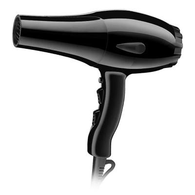 Cina AC Motor Salon Low Radiation Hair Dryer , Professional Hair Dryer 2200W Powerful in vendita