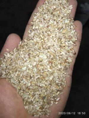 Κίνα 4000kg/H φως των ζεματισμένων ρυζιού μίνι χρώματος διαλογέων μηχανών μακριών οδηγήσεων διάρκειας ζωής προς πώληση