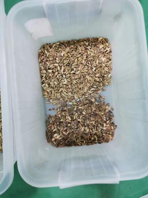 Chine Machine agricole /Cardamom de trieuse de couleur de cardamome d'équipements séparant la machine à vendre